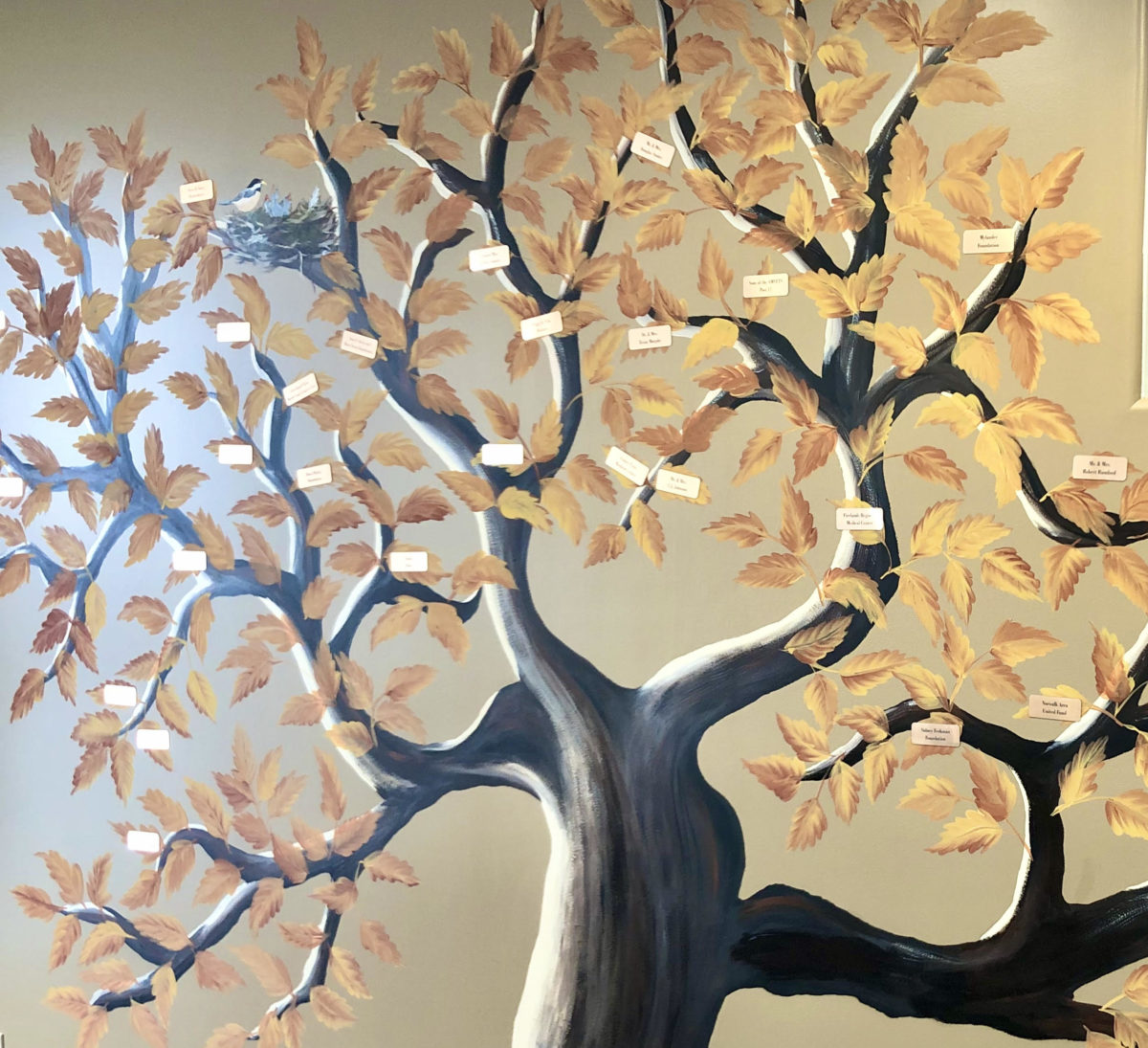 Online Donations – Cancer Services